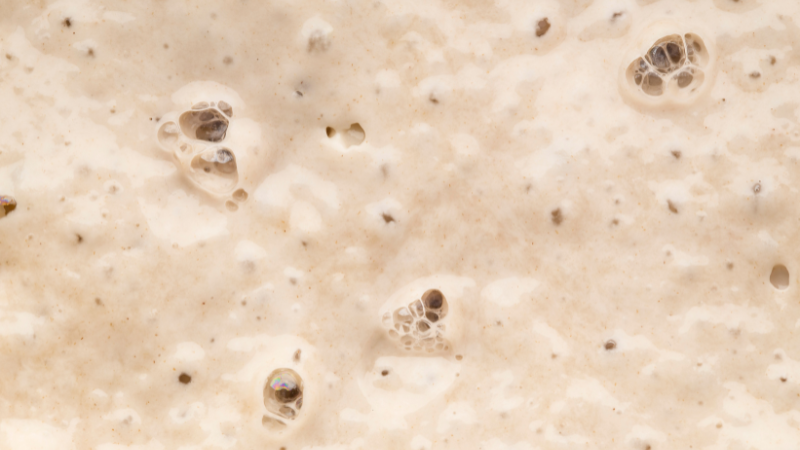 GALACTOMYCES – Best Korean Skincare